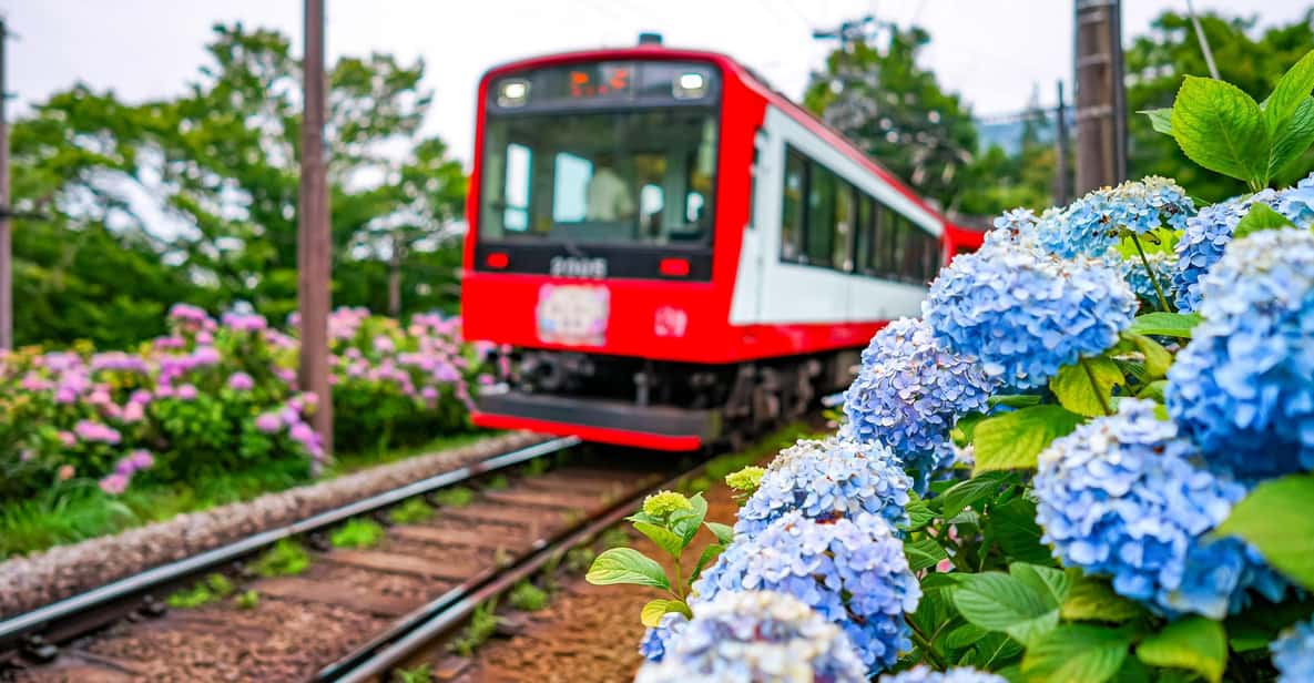 Hakone: Day Tour with Hydrangea Train, Pirate Ship, & Lunch | GetYourGuide