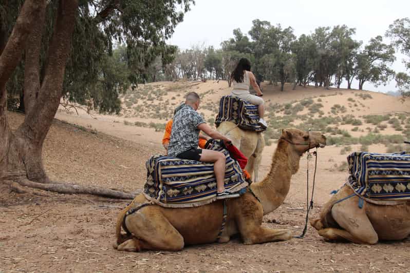From Agadir or Taghazout: Camel Ride Tour & Flamingos Watch | GetYourGuide