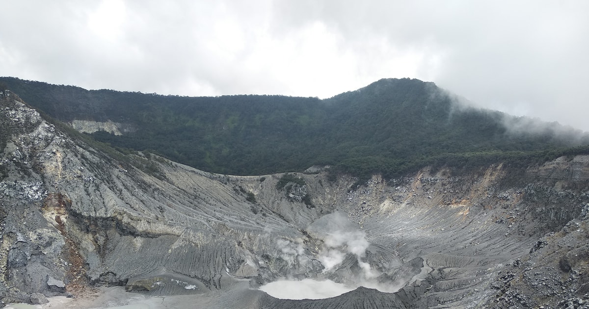 Jakarta: Vulkaan, hete bron, thee, rijstvelden & koffietour | GetYourGuide