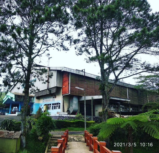 Jakarta: Volcano, Hot Spring, Tea Factory& Coffee Luwak Tour | GetYourGuide