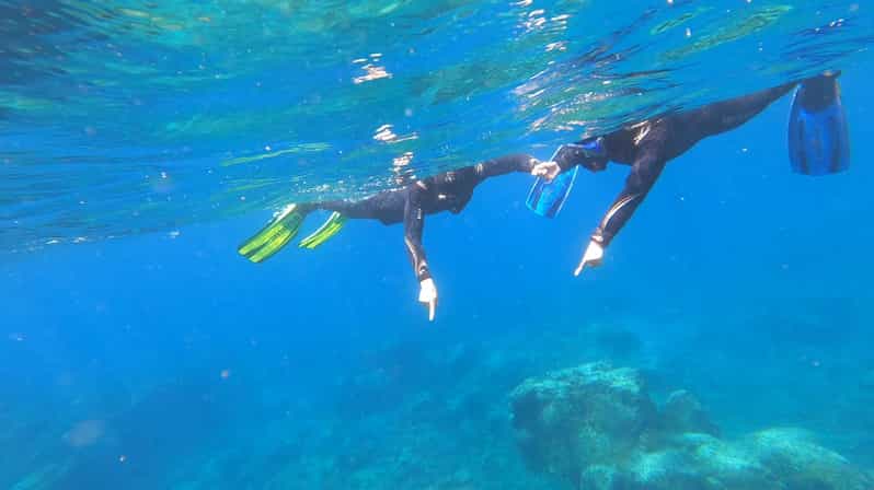 Tenerife: Snorkeling Tour in a Marine Protected Area | GetYourGuide