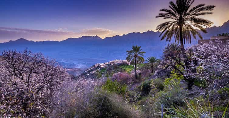 Seebi Island, Oman, Musandam - Tickets & Eintrittskarten | GetYourGuide