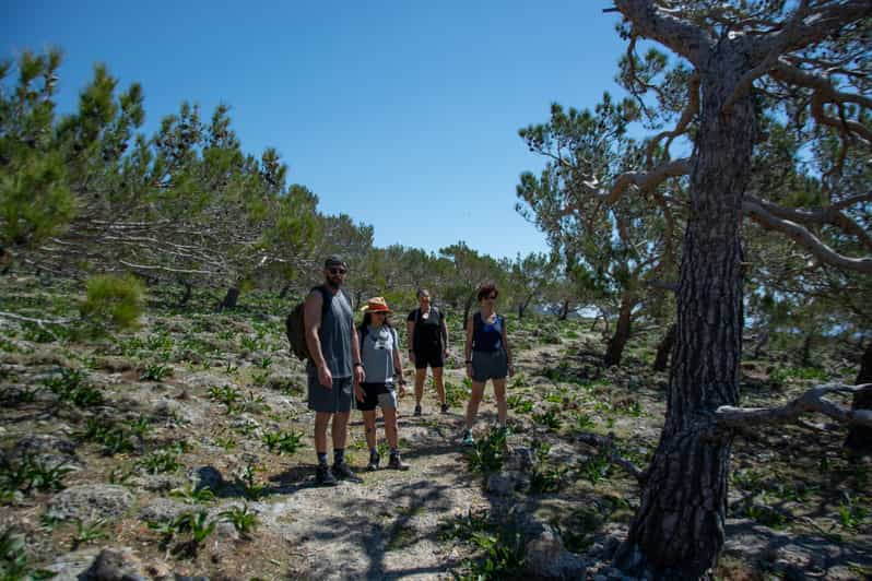 Off road adventure to the most isolated monastery of Crete | GetYourGuide