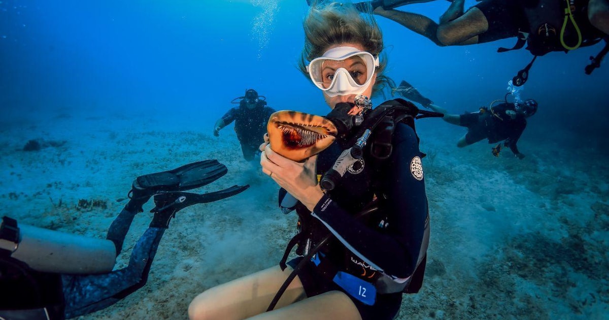 Cancún/Playa del Carmen: Maroma Beach Advanced Diving Trip | GetYourGuide