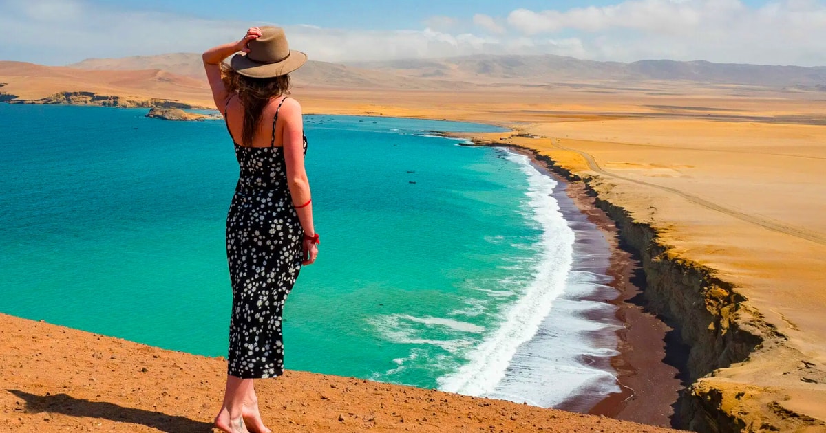 Full Day Tour Ballestas Islands & Paracas National Reserve | GetYourGuide