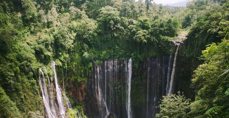 Experience Boti Twin Waterfalls, Umbrella Rock, 3H-Palm Tree | GetYourGuide