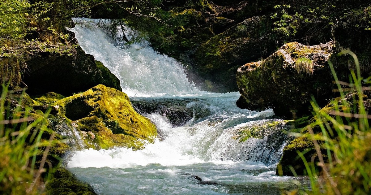 Experience Boti Twin Waterfalls, Umbrella Rock, 3H-Palm Tree | GetYourGuide