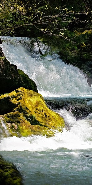 Experience Boti Twin Waterfalls, Umbrella Rock, 3H-Palm Tree | GetYourGuide