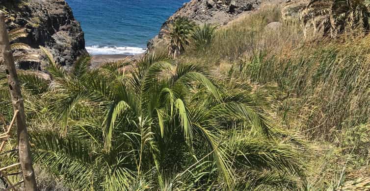 Tour Guguy o Guigui Beach | GetYourGuide