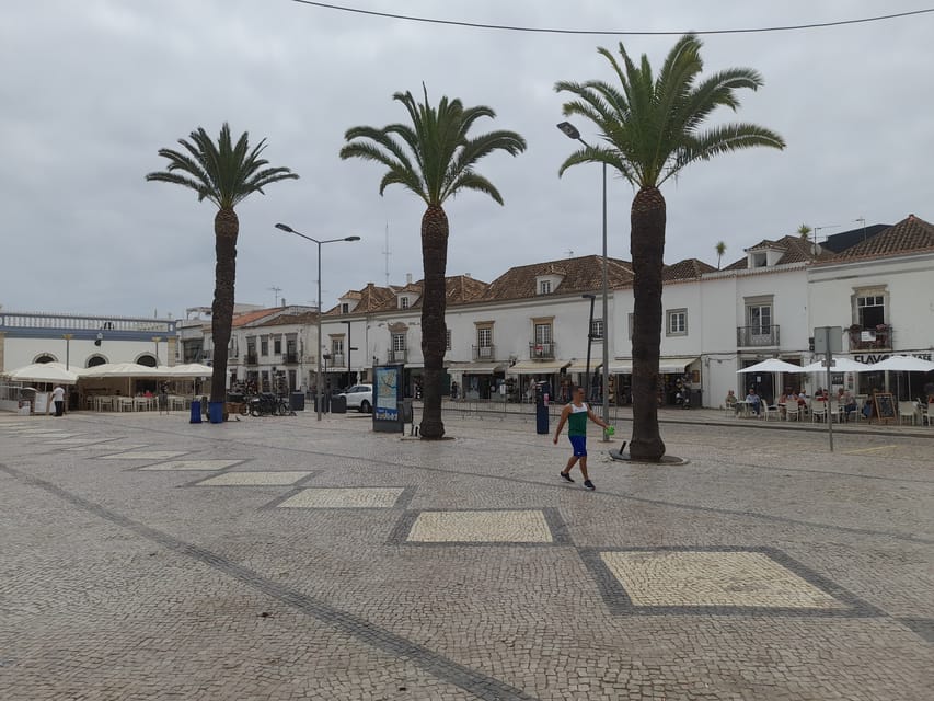Albufeira: Olhão Market, Tavira, Faro & Ria Formosa Day Trip | GetYourGuide