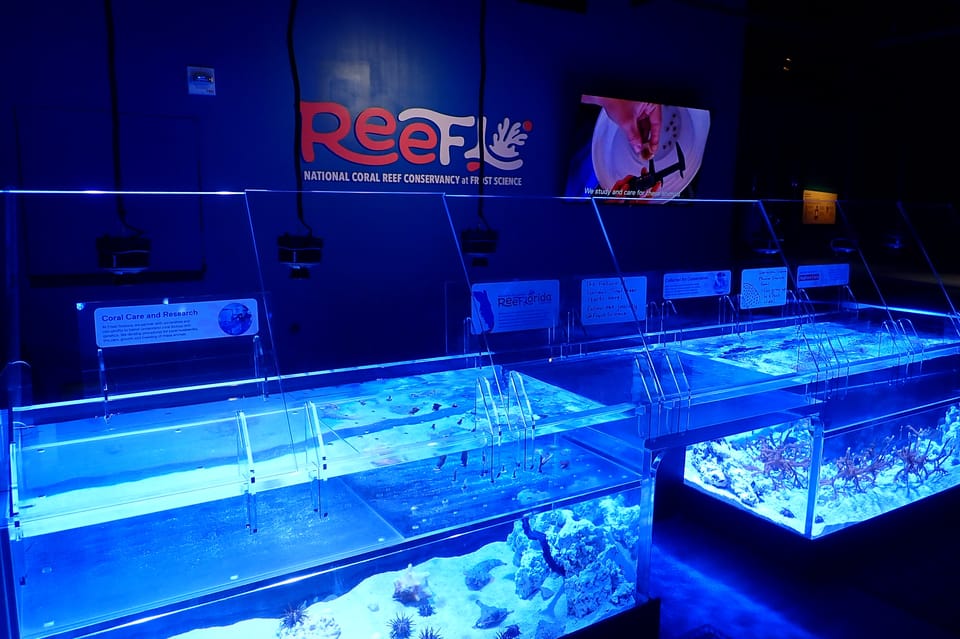 Miami: Frost Museum of Science and Planetarium Entry Ticket | GetYourGuide