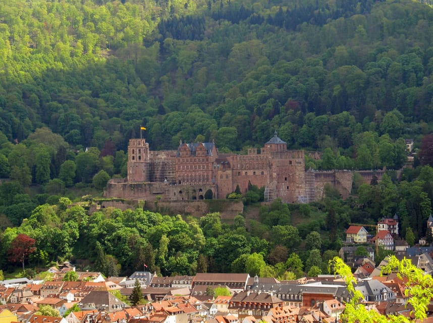 Heidelberg: Old Town Tour Including Castle Visit | GetYourGuide