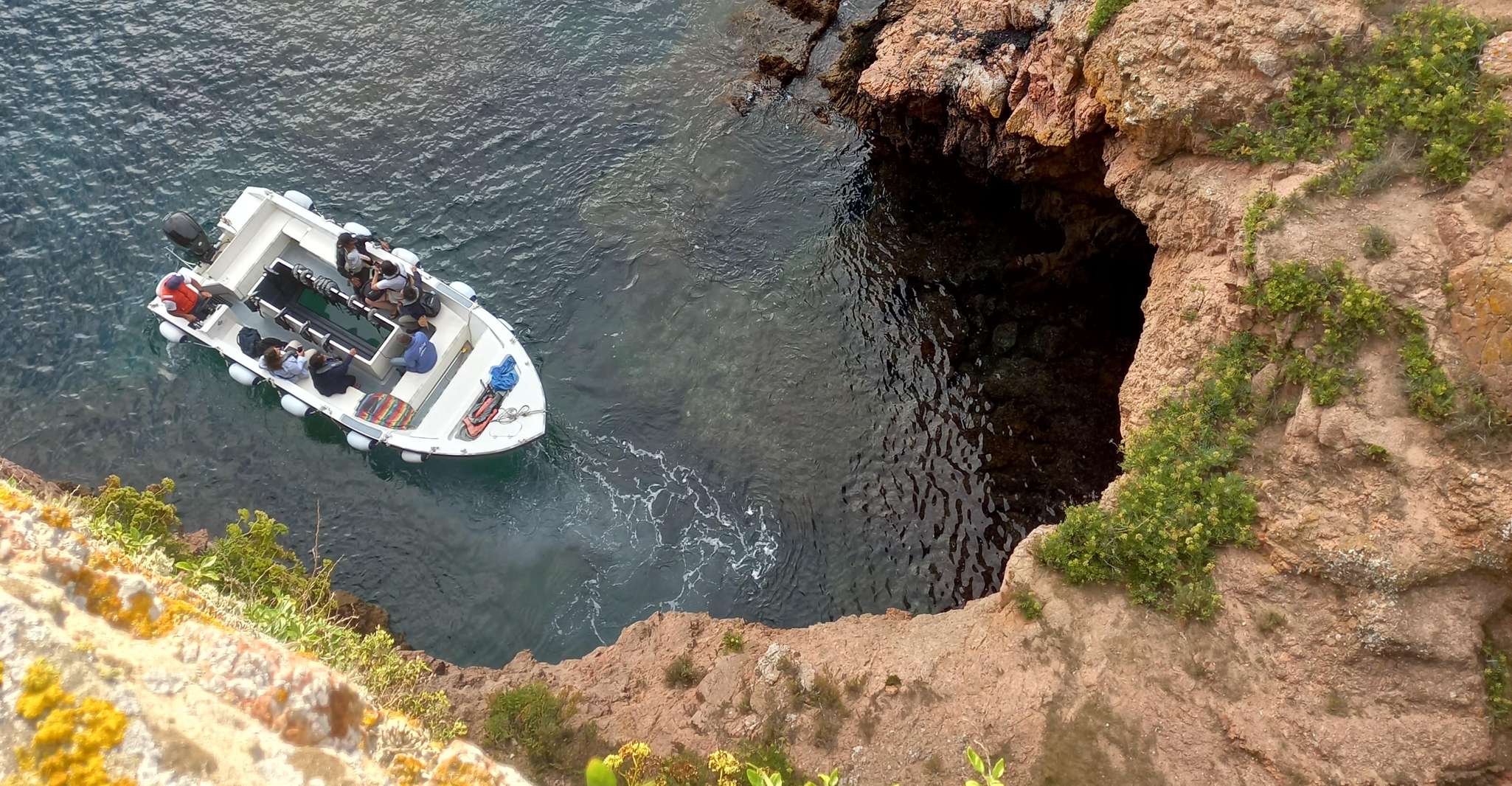 Peniche, Berlengas Island Round-Trip Ferry - SuiteTrails