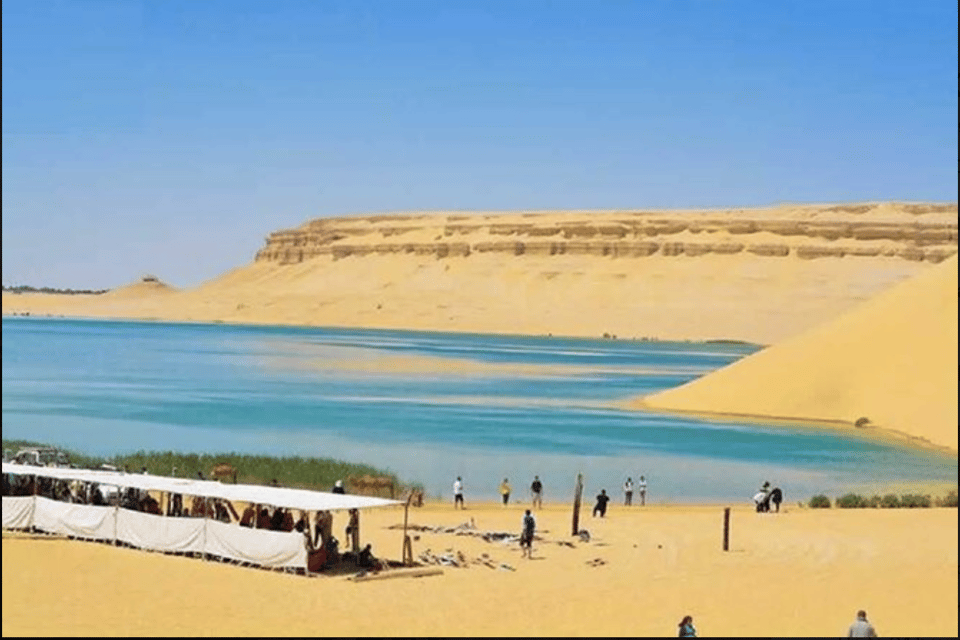 From Cairo: Whale Valley and Wadi El Rayan Waterfalls Tour | GetYourGuide