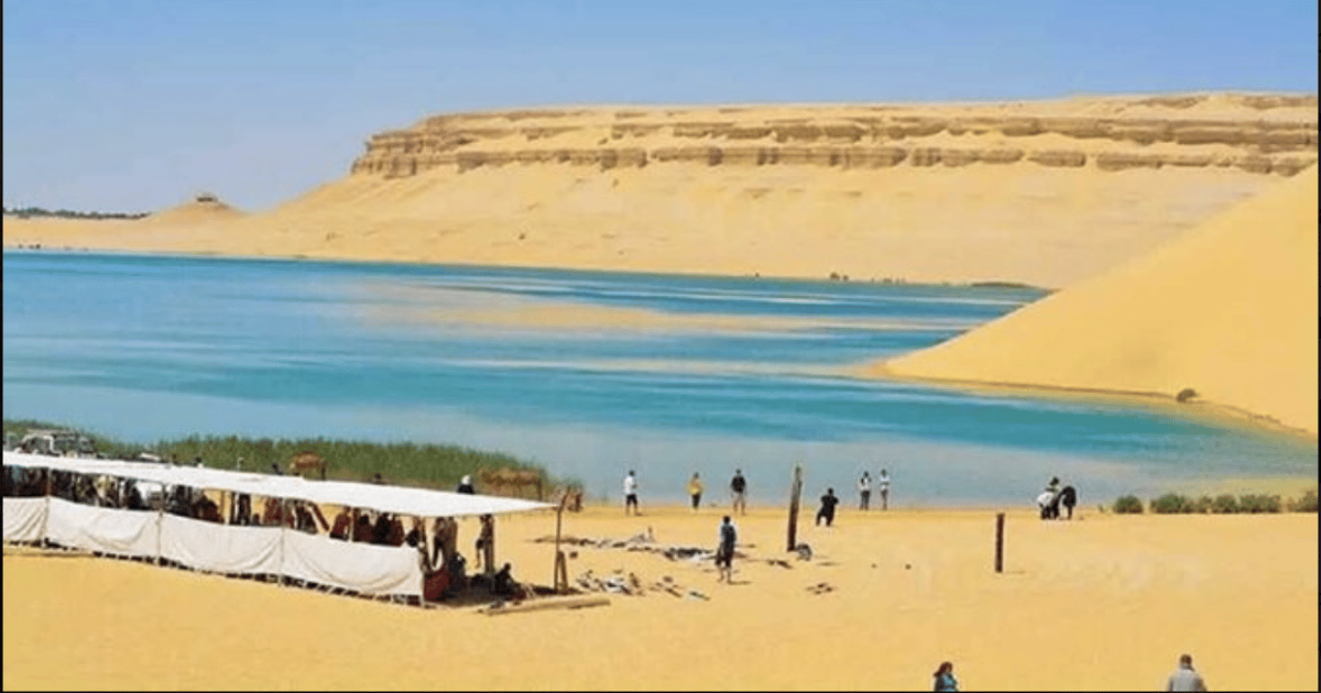 From Cairo: Whale Valley and Wadi El Rayan Waterfalls Tour | GetYourGuide