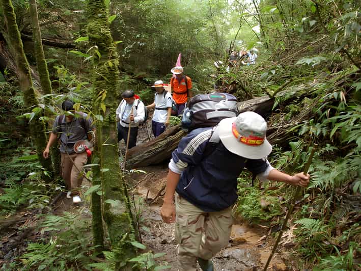 Sapa : randonnée épique d'une journée au sommet du mont Fansipan ...