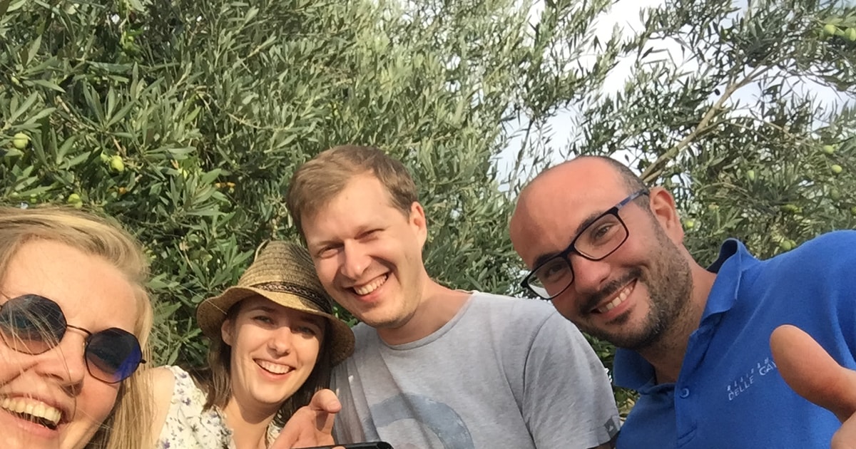 Bio olive oil farm tour, pasta class and lunch | GetYourGuide