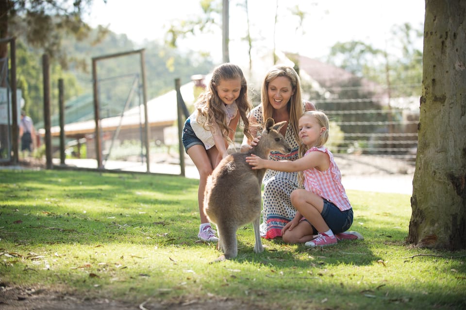 Paradise Country: Ultimate Aussie Farm Experience | GetYourGuide