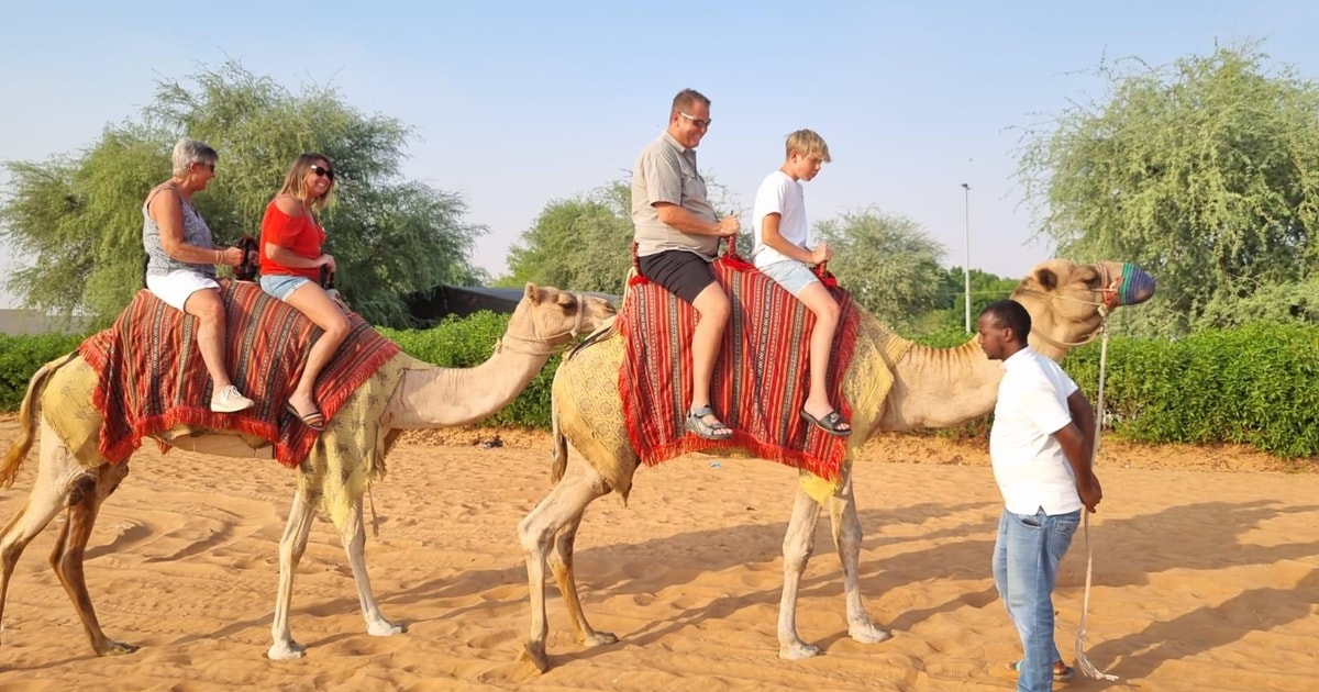 Excursión en camello | GetYourGuide