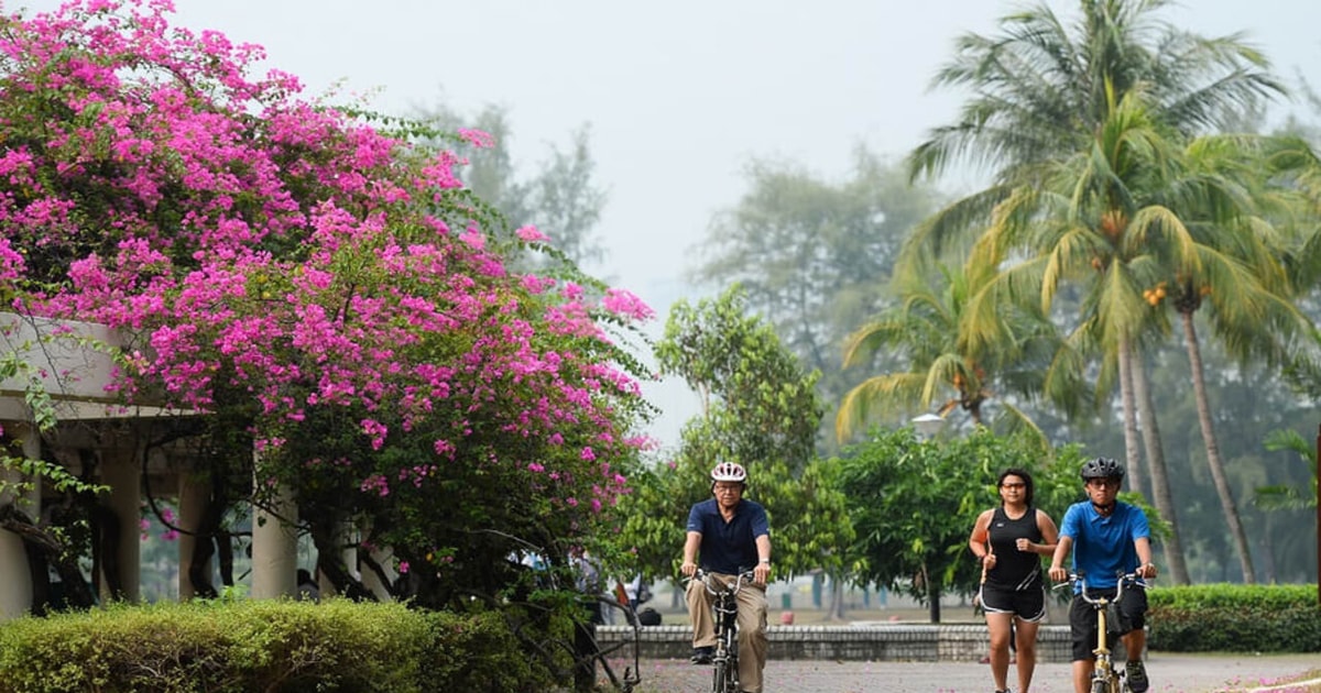 East Coast of Singapore Bike Tour | GetYourGuide