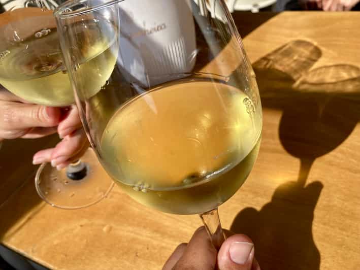 Port wine & wine walking tour with culture | GetYourGuide