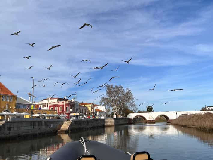 Desde Portimão: Excursión en barco por el río Arade a la Ciudad ...