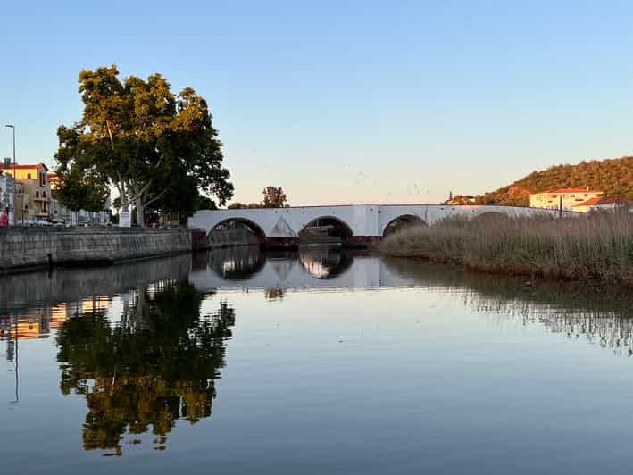 Desde Portimão: Excursión en barco por el río Arade a la Ciudad ...