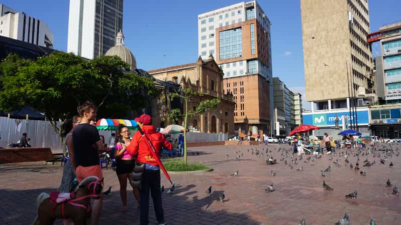 Cali's Cultural and Historical Walking Tour | GetYourGuide