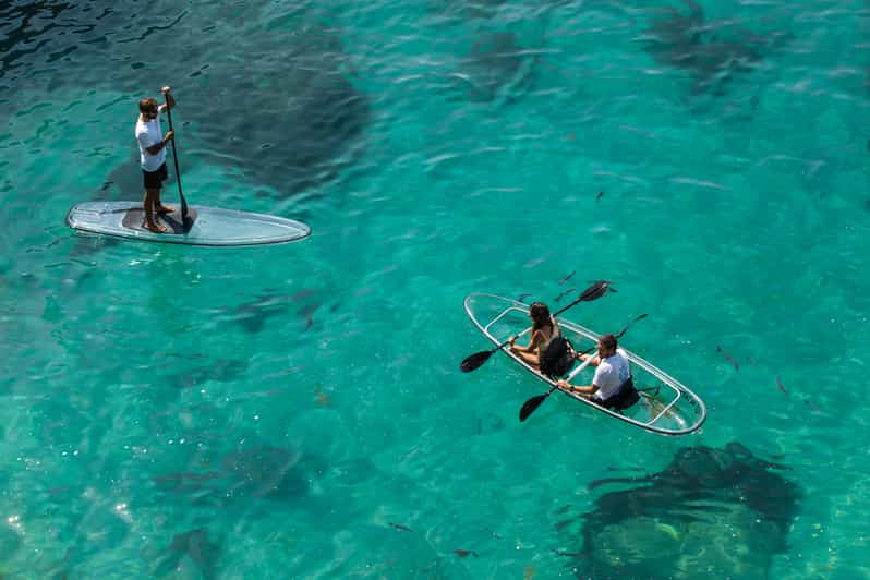 Arrábida: Guided Transparent Kayaking Tour | GetYourGuide