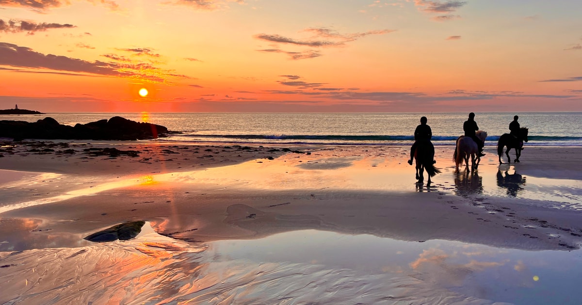 Midnight sun tour | GetYourGuide