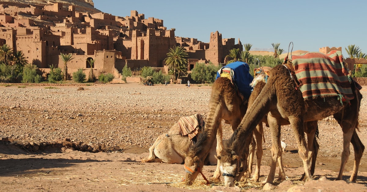 Day Trip From Marrakech To Ait benhaddou | GetYourGuide