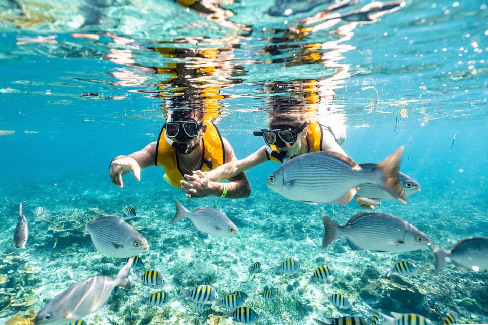 Cancún: Snorkeling, Parasailing, and Wave runners | GetYourGuide