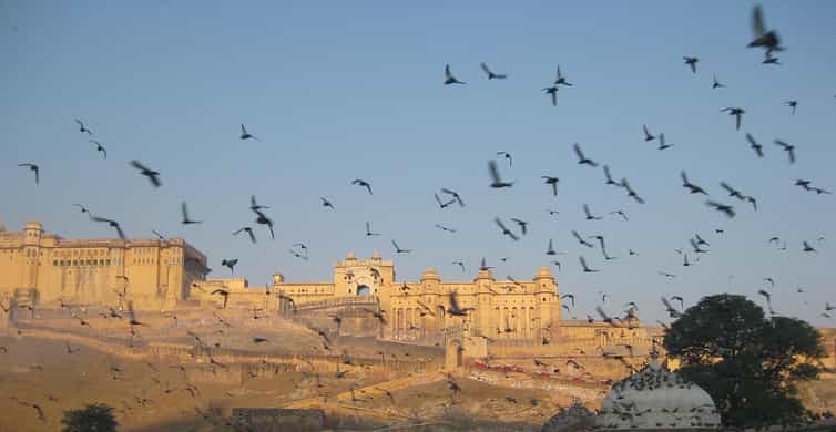 From Jaipur : Local Jaipur Sightseeing Tour By Car | GetYourGuide