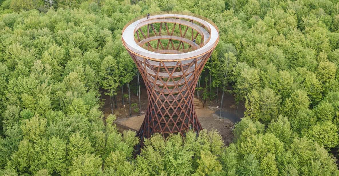 Forest Tower and Forgotten Giants - A Day Tour from Copenhag | GetYourGuide