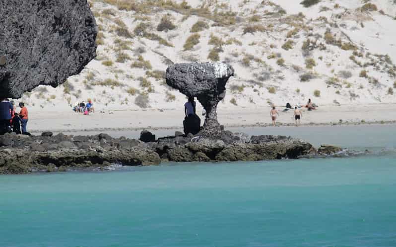 Adventure on Balandra Beach: Sea Lions & Snorkeling Tour | GetYourGuide