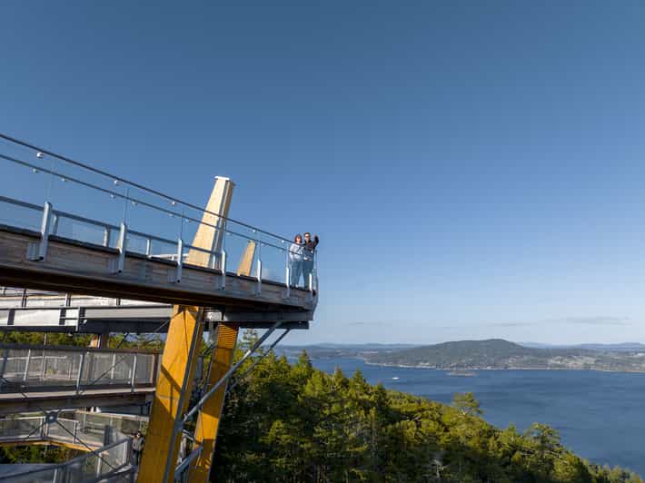 Malahat SkyWalk Ticket | GetYourGuide