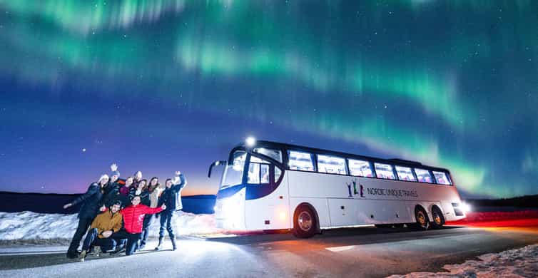 Rovaniemi: Hunting Northern Lights Bus Tour | GetYourGuide