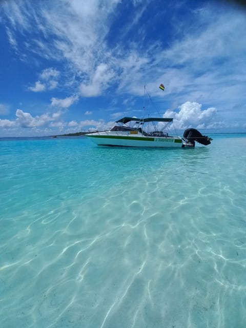 Mauritius: Snorkeling with turtles Le Transporteur speedboat | GetYourGuide