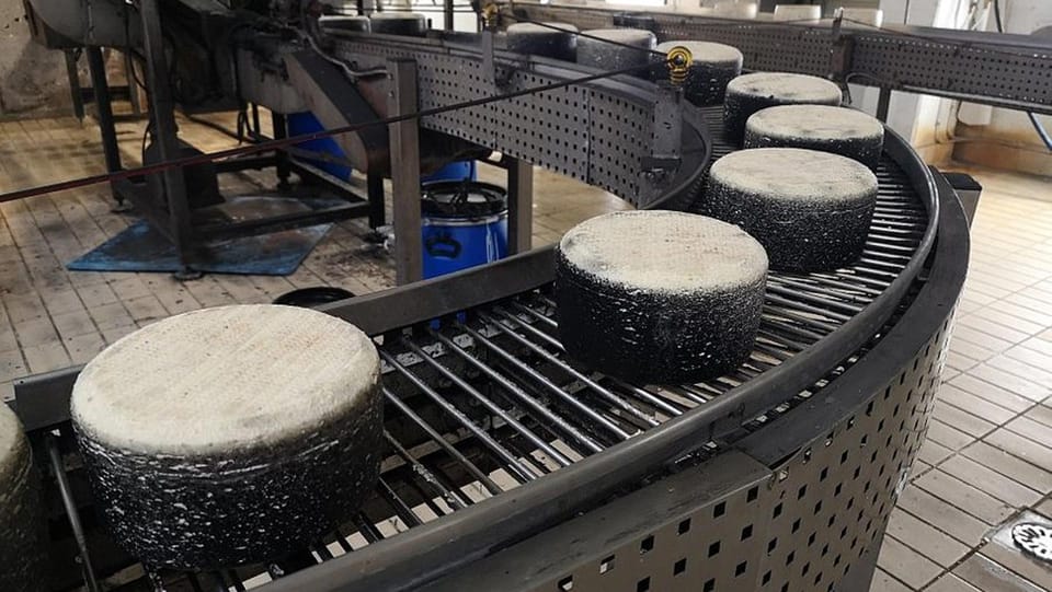Dolianova: Visit a cheese-making local company w/ workshop | GetYourGuide