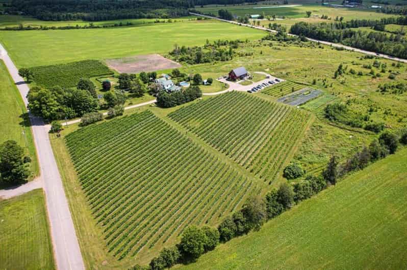 From Ottawa and Gatineau: Full Day Pontiac Wine & Cider Tour | GetYourGuide