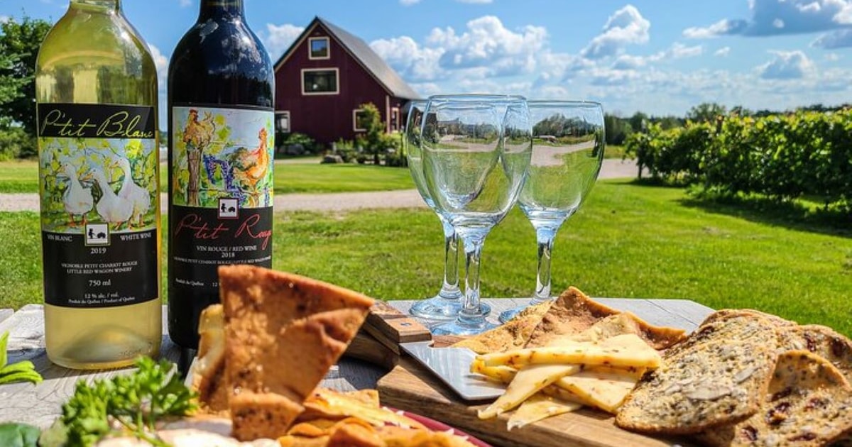 From Ottawa and Gatineau: Full Day Pontiac Wine & Cider Tour | GetYourGuide