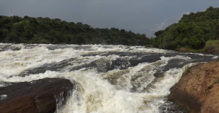 8 nap A Nílus folyó forrása és szafari vadászat. | GetYourGuide