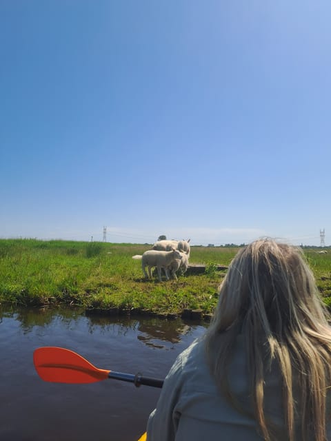 Amsterdam Countryside bike and kayak tour | GetYourGuide