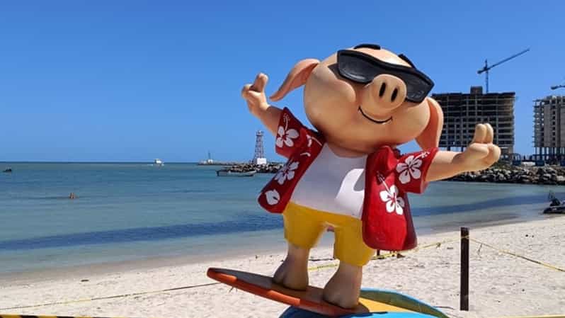 Pig Beach Progreso | GetYourGuide
