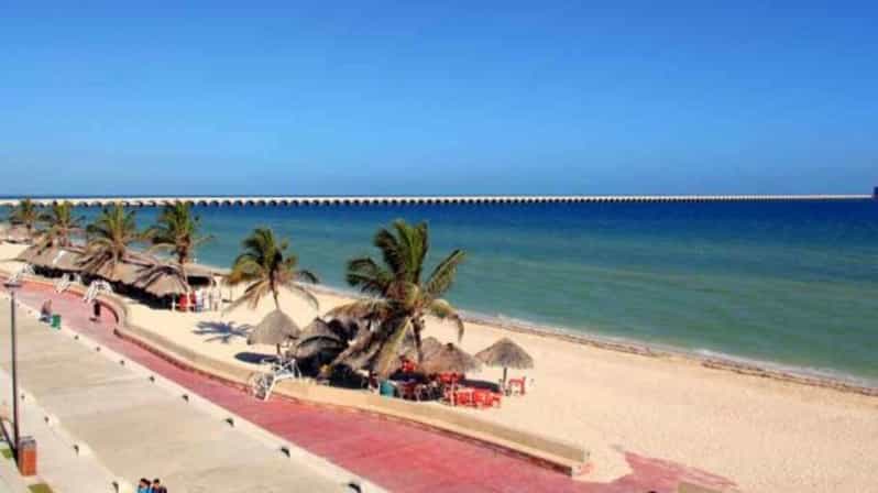Pig Beach Progreso | GetYourGuide