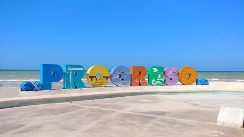 Pig Beach Progreso | GetYourGuide