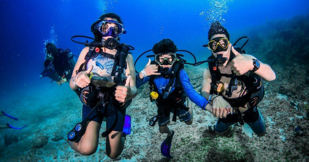 Scuba PADI open waters adventure: 4 Immersions course | GetYourGuide