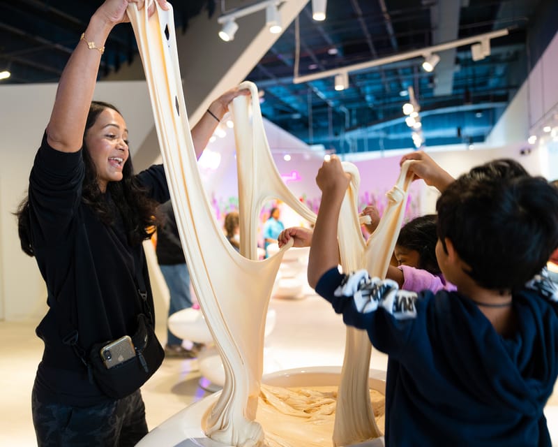 Atlanta: Sloomoo Institute Admission Ticket | GetYourGuide