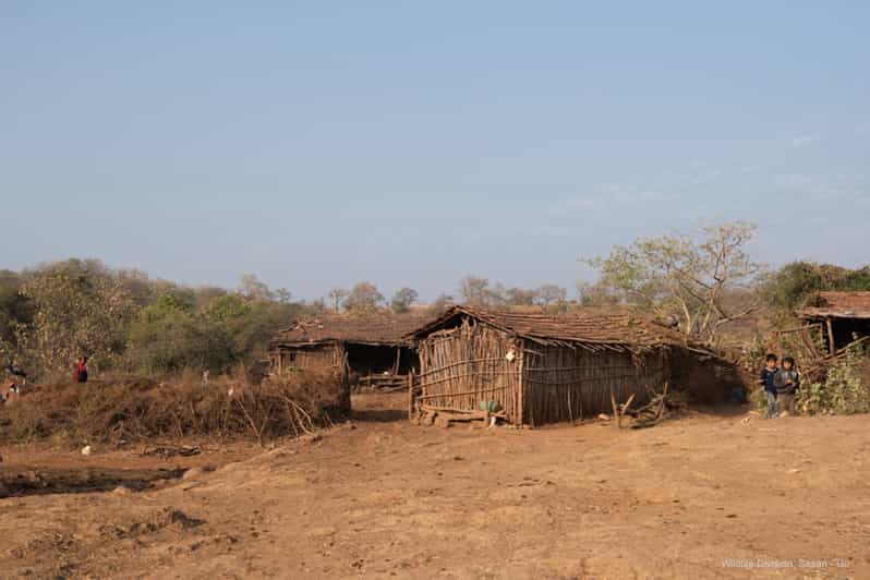 From Rajkot: Gir Somnath Weekend Tour | GetYourGuide