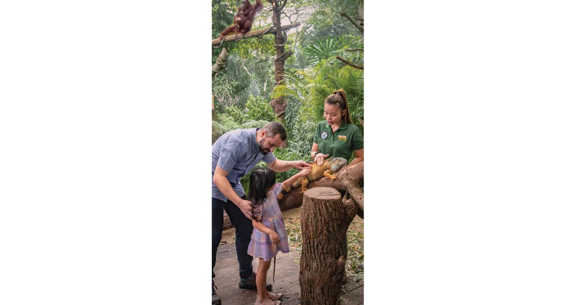 Grădina zoologică din Singapore: Micul dejun în sălbăticie la Ah Meng ...